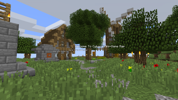 My First MiniGame Map Minecraft Map