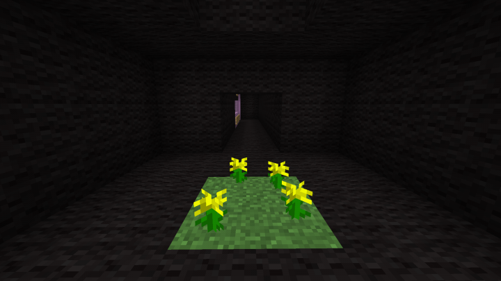 Undertale - Ruins Minecraft Map