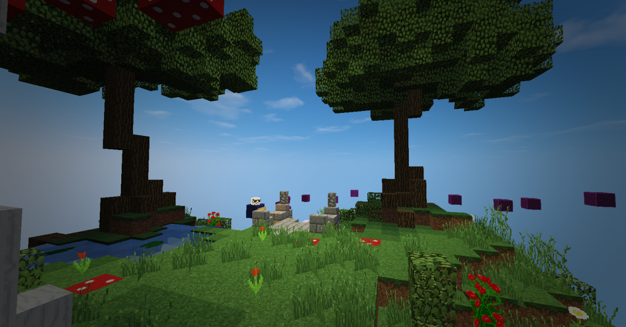 Skywars | Bird | Minecraft Map