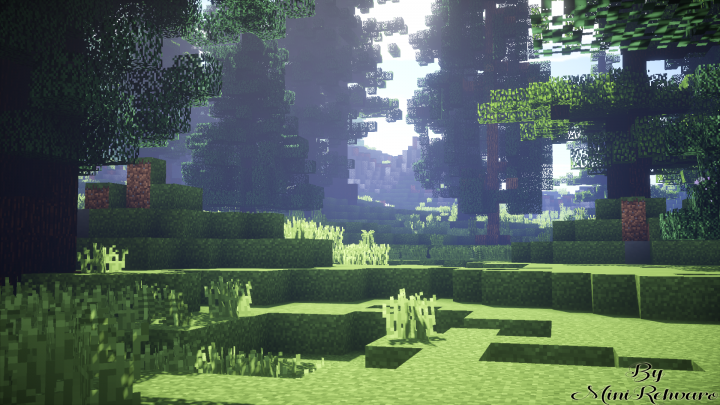 Forest Minecraft Map