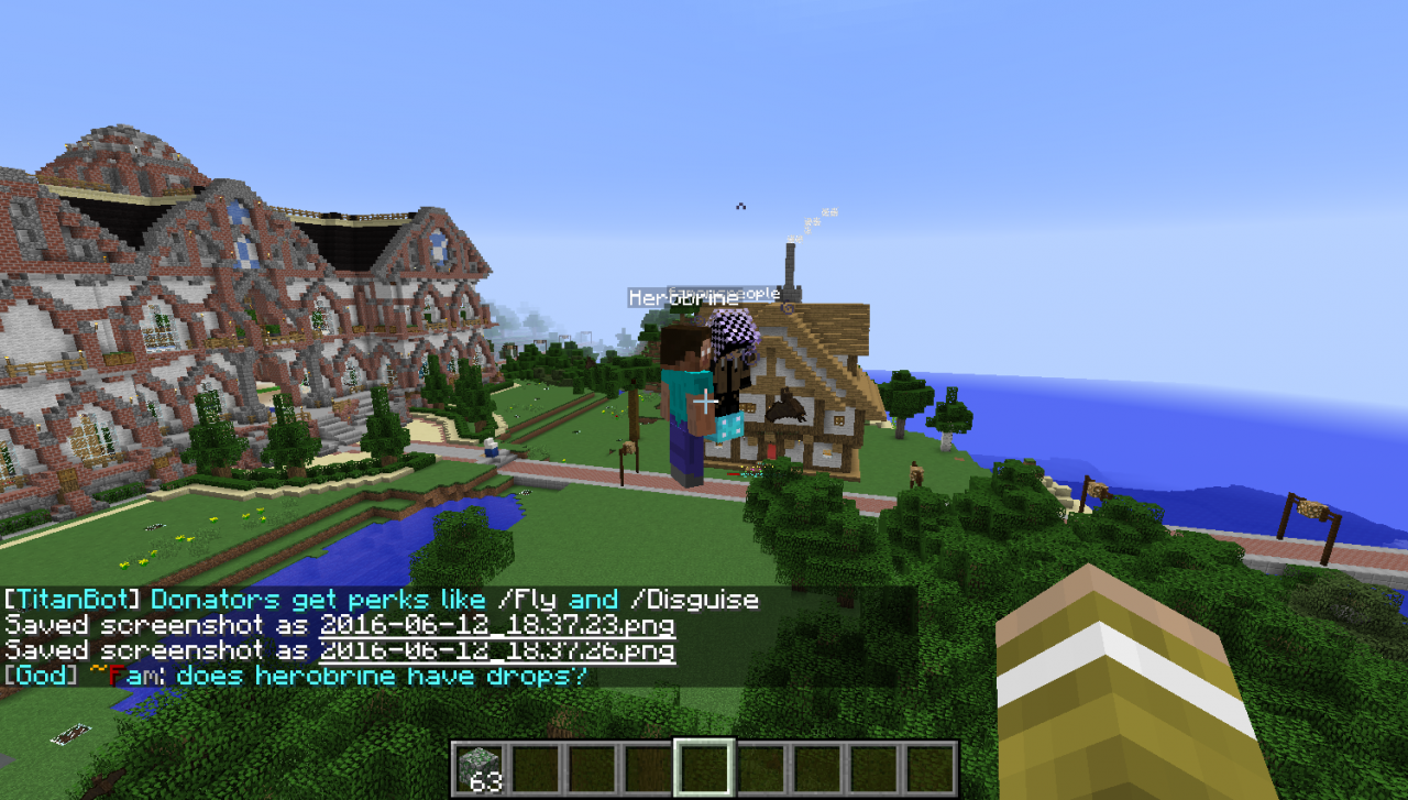 Custom Survival Minecraft Server