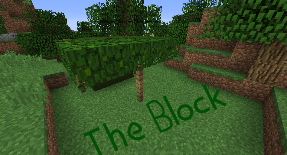 The Block Minecraft Map
