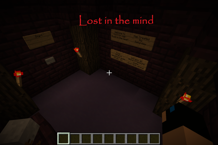 Lost in the mind Minecraft Map