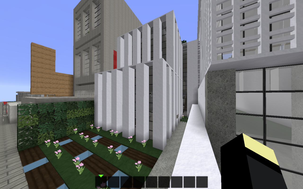 IAS application Minecraft Map