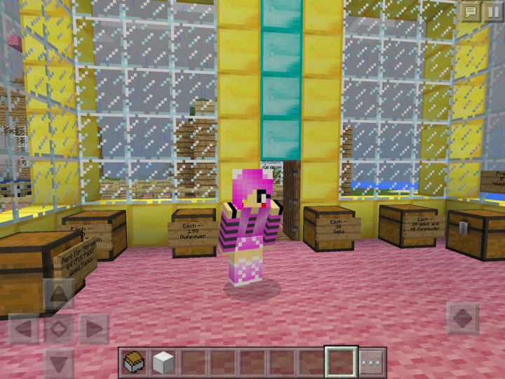 My Cozy Village! Minecraft Map