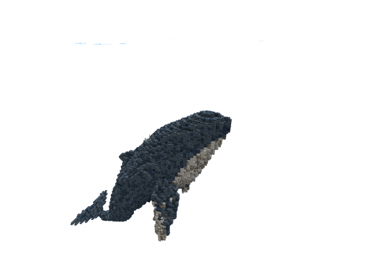 Whale :D #WeAreConquest Minecraft Map