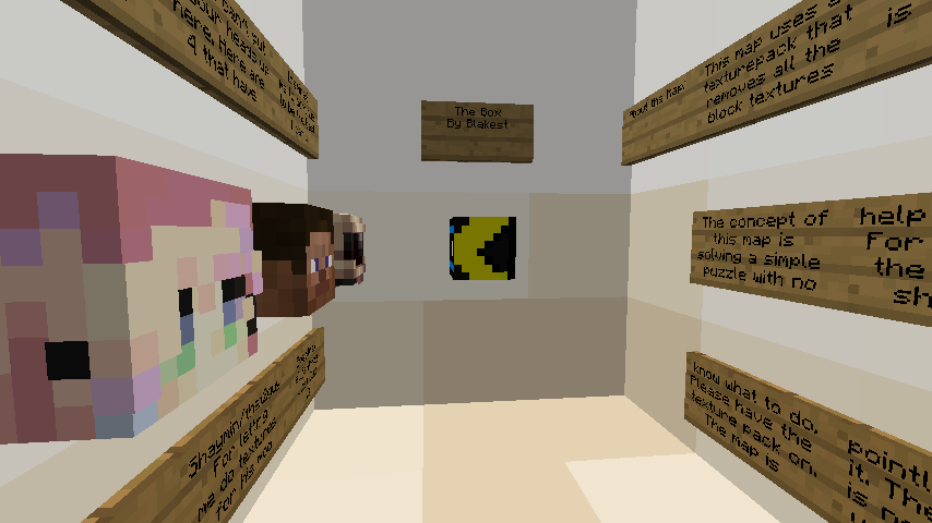 The Box (Puzzle map with custom texture pack!) Minecraft Map