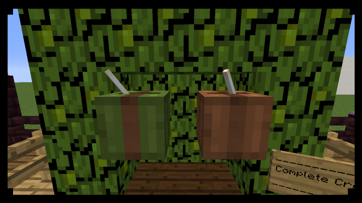 Minecraft: How To Make A Coconut With A Straw