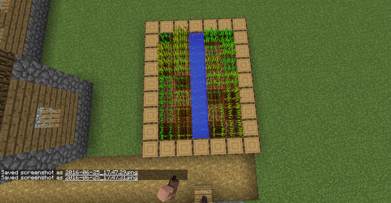 Villages Minecraft Map