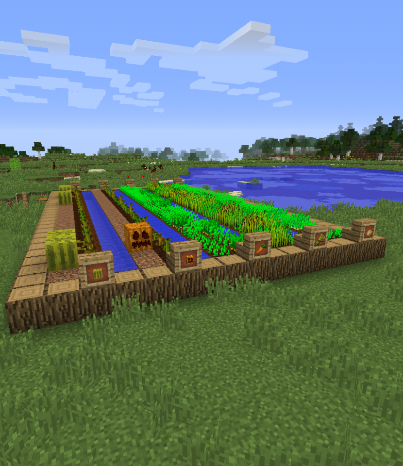 The Farm Minecraft Map