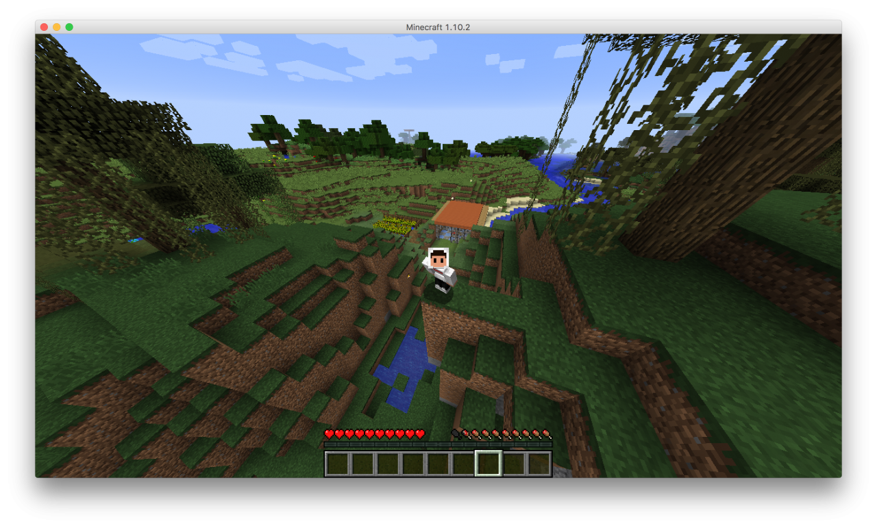 Mine-Team Minecraft Server