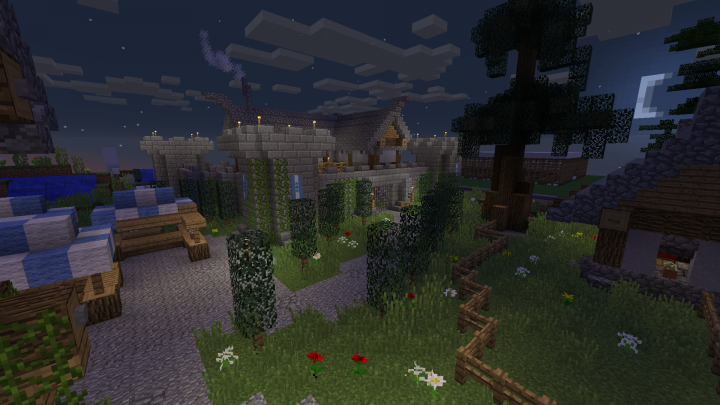 Plot Build - Medieval Village Minecraft Map