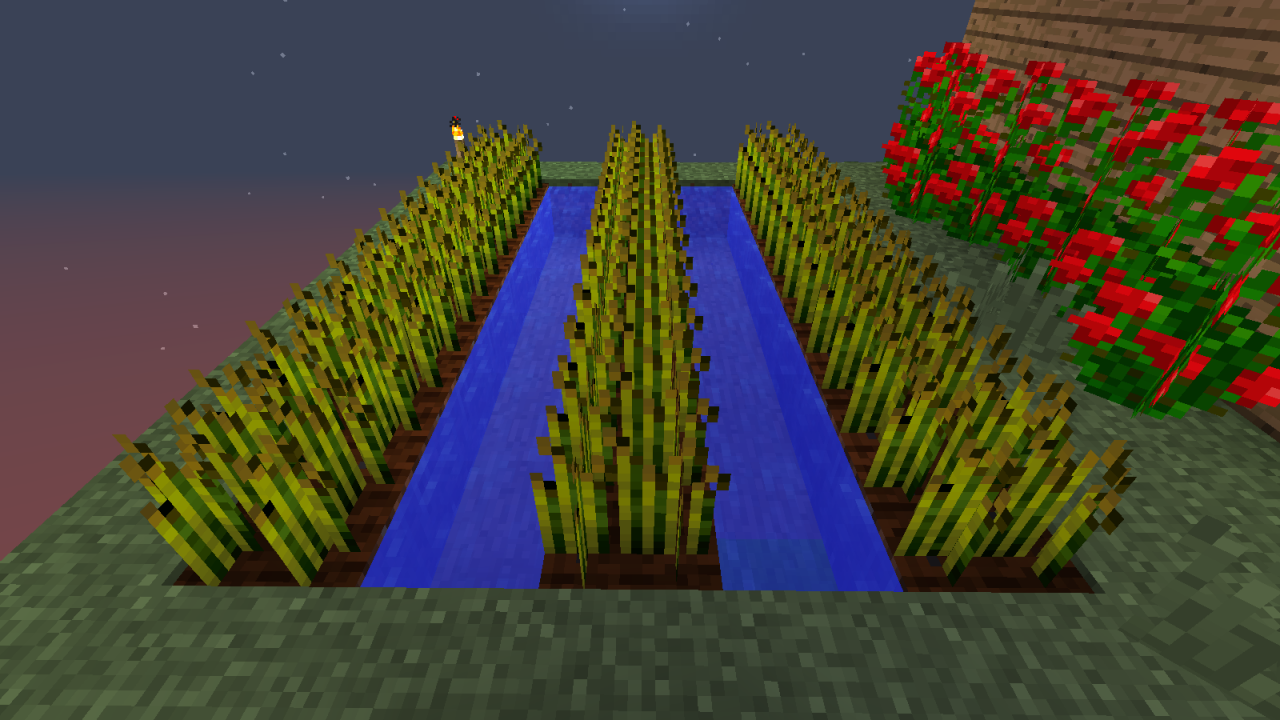 Classic Minecraft Player World[Chunk Challenge] Minecraft Map