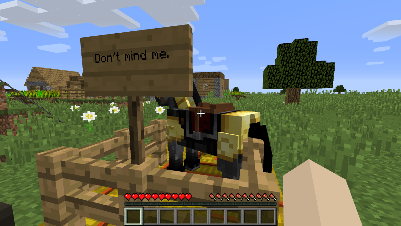 Rockin' 'n' rollin' roller coaster Minecraft Project