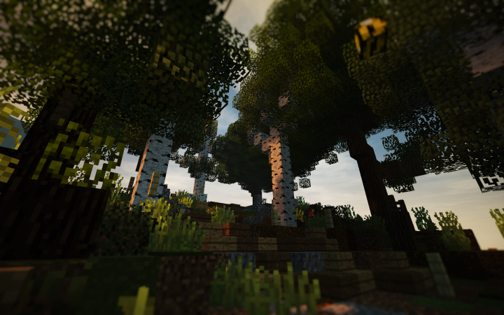 Deep Forrest | Plot Build [Download] Minecraft Map