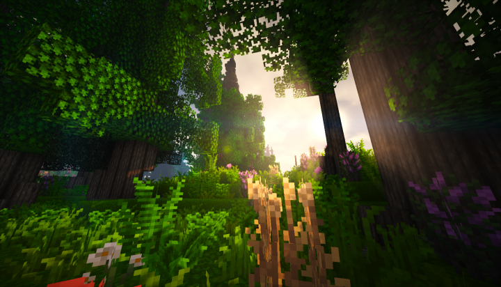 Morning Lavender Minecraft Map