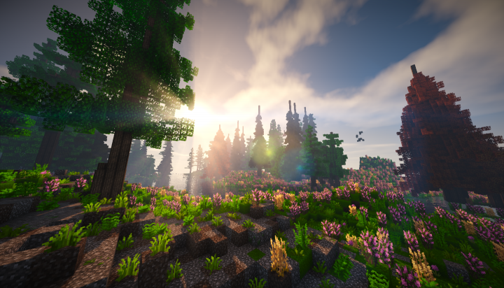 Morning Lavender Minecraft Map
