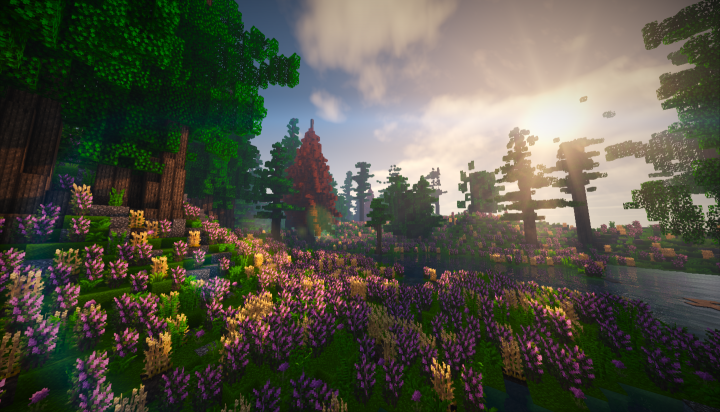Morning Lavender Minecraft Map