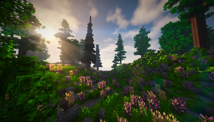 Morning Lavender Minecraft Map