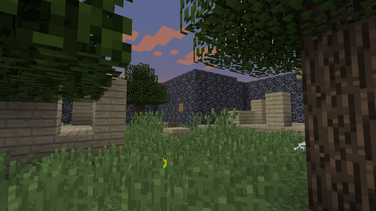 Find The Button: 11 Levels Minecraft Map