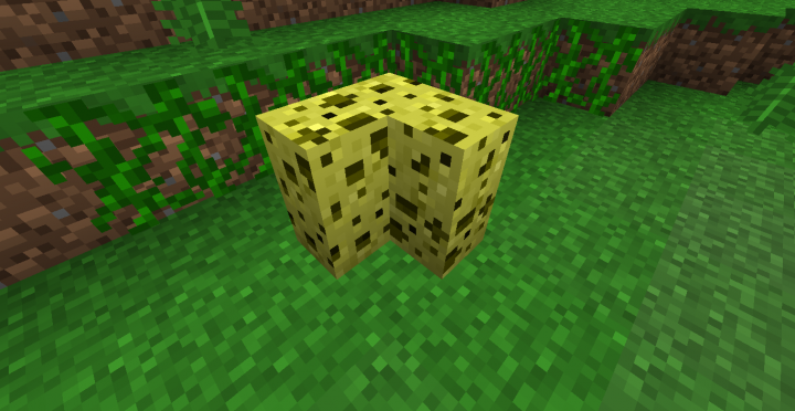 Sponge Core Minecraft Map