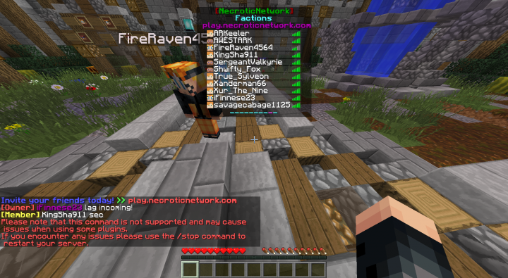 NecroticNetwork Minecraft Server