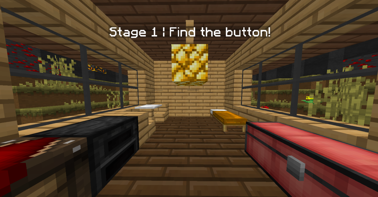 Find the button! Minecraft Map