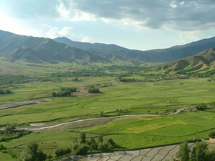 Another terrain map for CraftyFoxe :D Minecraft Map