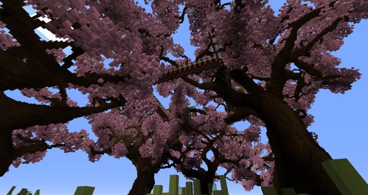 The Sacred Giant Blossom Grove [Contest] Minecraft Map