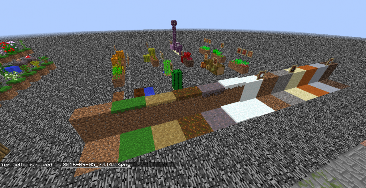 Basic Texture Testing World Minecraft Map