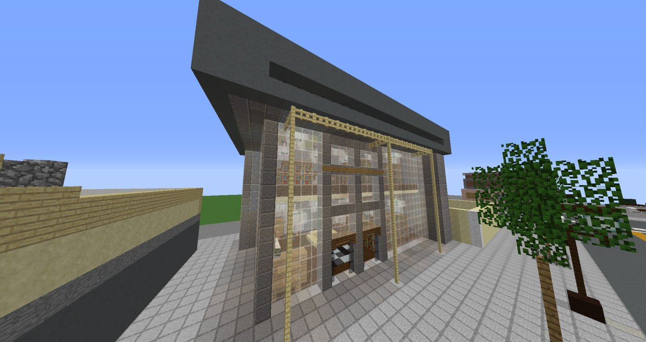 Plot: City Library Minecraft Map