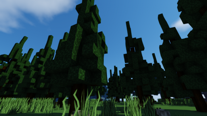 Small Pine Forest Minecraft Map
