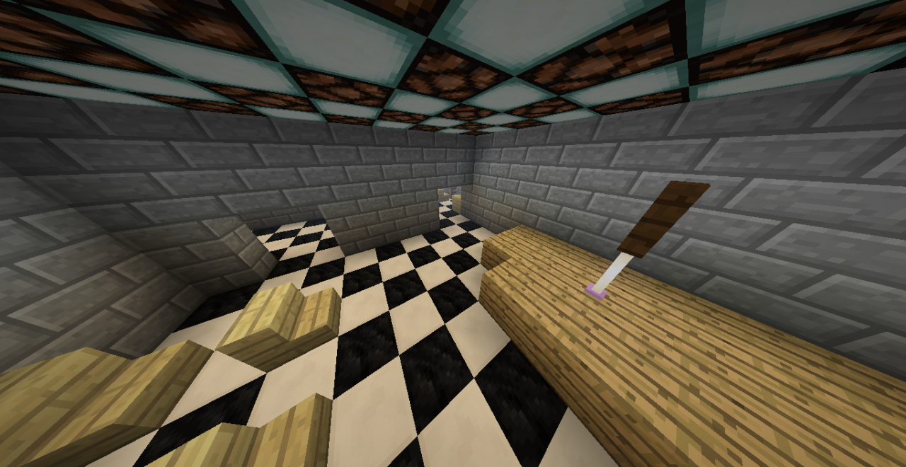 Camera system Minecraft Map