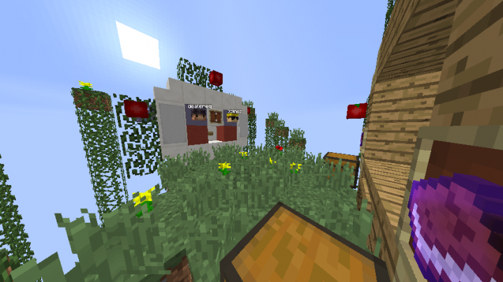 Elytra & Parkour Dealereq & Doknes #dlrq Minecraft Map