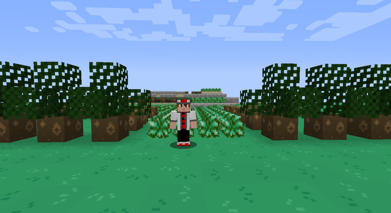 Pokemon Firered / Leafgreen project Minecraft Map