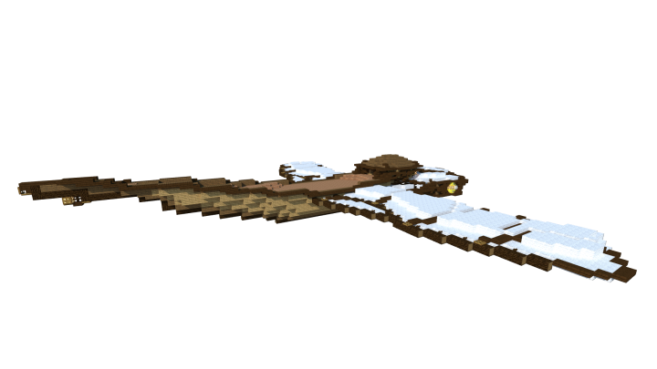 Test Flyer Minecraft Map