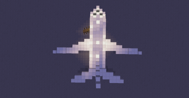 small private jet Minecraft Map