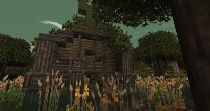 Swamp Hut Minecraft Map