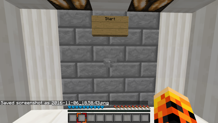 The Switcher Minecraft Map