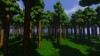 Pine Forest Minecraft Map
