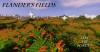 Flander's Fields Minecraft Map