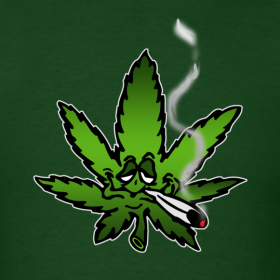 TheStonerAge Minecraft Server