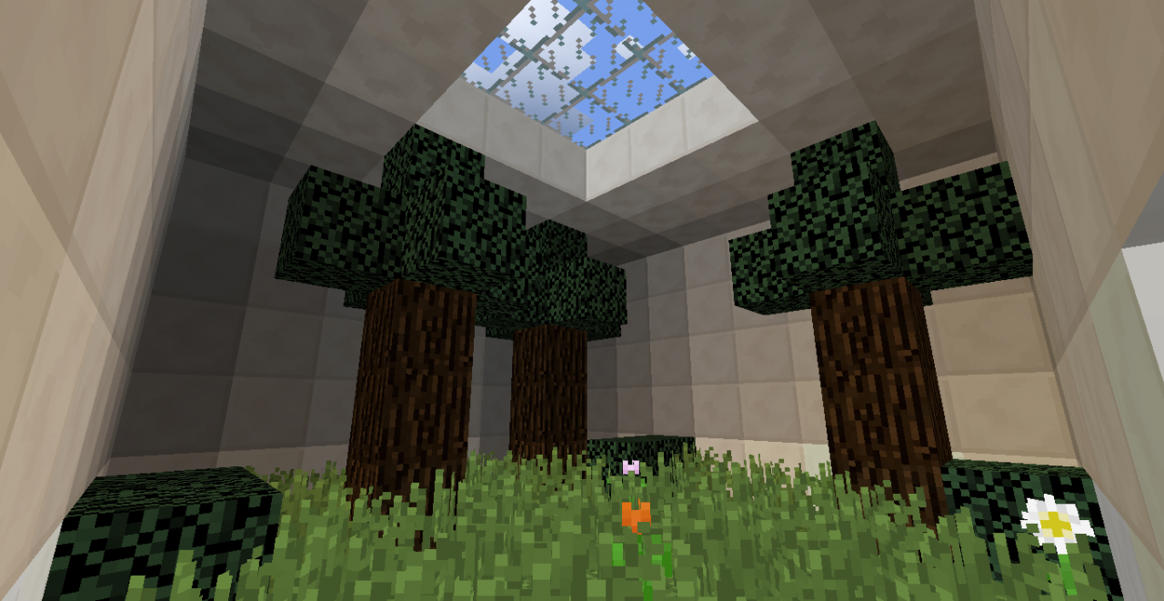 Find the Lever Minecraft Map