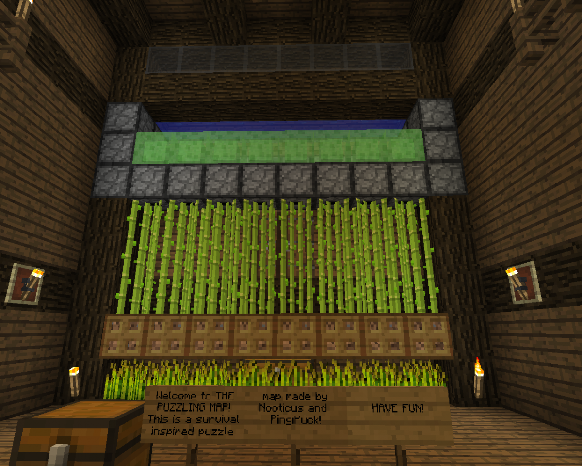 The Puzzling Map Minecraft Map