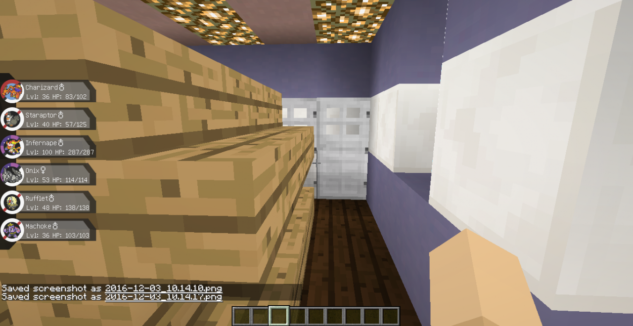 Pokemon Town Minecraft Map