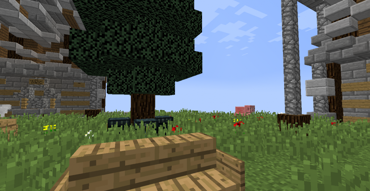 Server Warp-Wild Minecraft Map