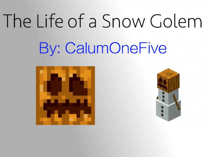 Life of a Snow Golem - Contest