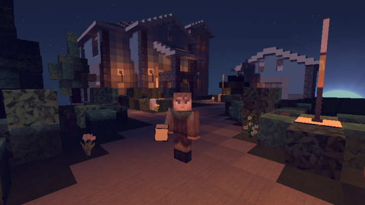 Traditionaly Fancy! Minecraft Map