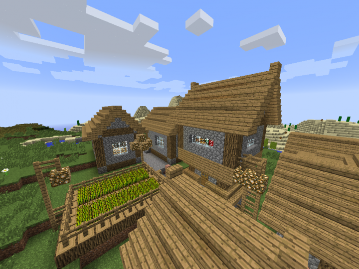 House In Village Minecraft Map