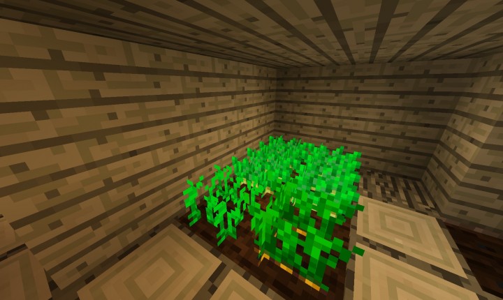 The Burning Village! Minecraft Map